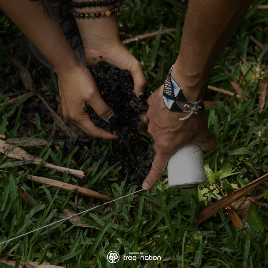 Tree-Nation Forest | Ulap | Eco-Friendly*Made in Italy*Slow Design